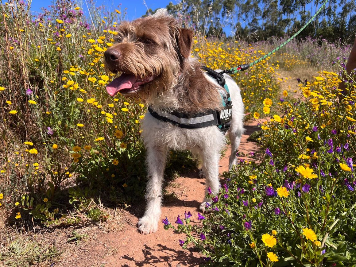 Maureen Gray Foundation