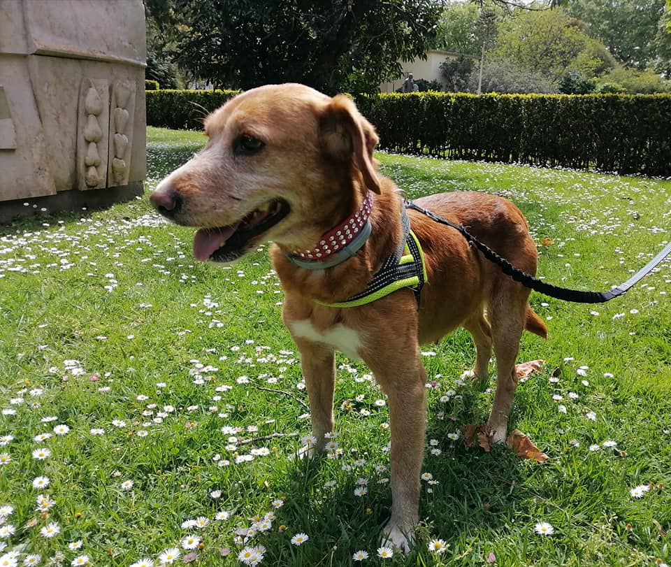 Maureen Gray Foundation